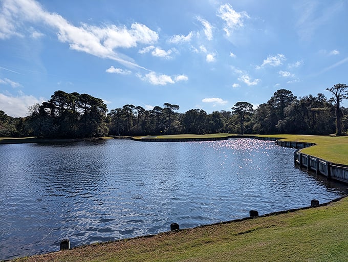 The Amelia River Club's water hazard isn't just challenging&mdash;it's practically hypnotic. Golf was invented for views like this, not for the frustration of finding balls in water.