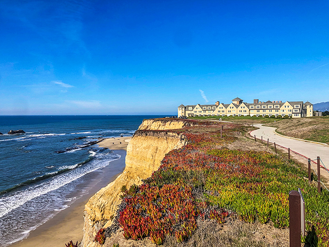 Dramatic cliffs meet the Pacific as coastal flowers paint the landscape. Mother Nature showing off her interior design skills.