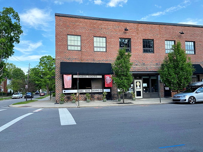 Three Tigers Brewing Company occupies brick walls that have probably seen more stories than your favorite bartender.