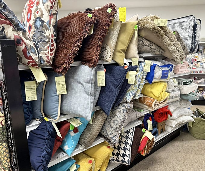 Pillow talk! These colorful cushions are ready to transform your couch from "meh" to magazine-worthy in seconds flat.