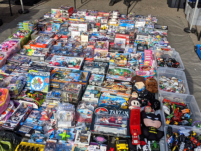 A toy collector's dream &ndash; where nostalgic action figures meet modern playthings in a plastic paradise of possibilities.
