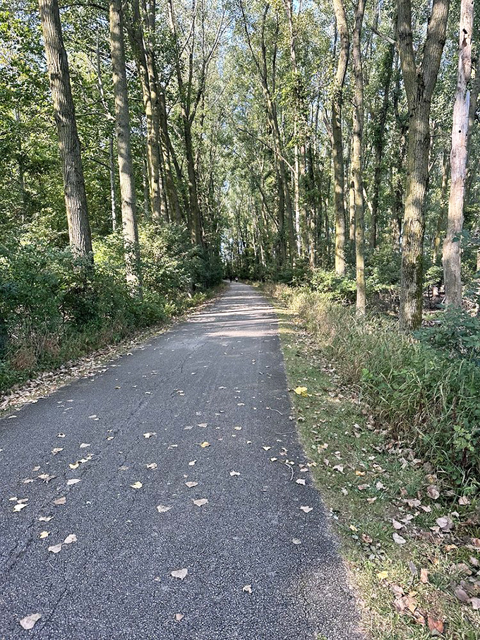 Every step on this path reveals another reason why Ohio's natural beauty rivals any postcard.