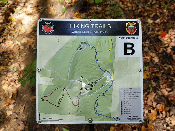 Adventure begins with a map. This trail guide at Great Seal State Park is your ticket to discovering hidden vistas and secret spots most visitors miss.
