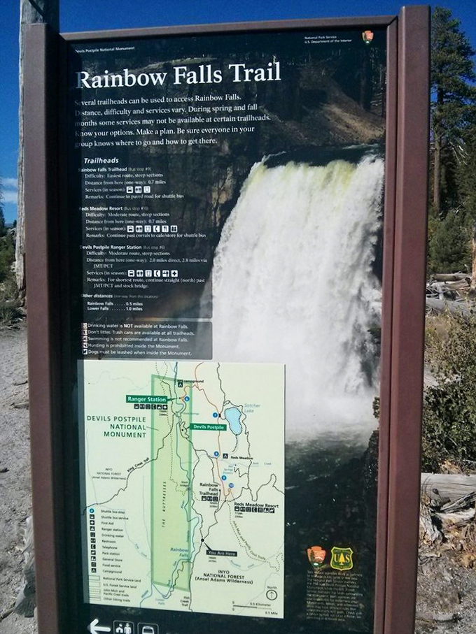 Trail signs pointing toward adventure never looked so promising or professionally designed for wilderness wanderers.