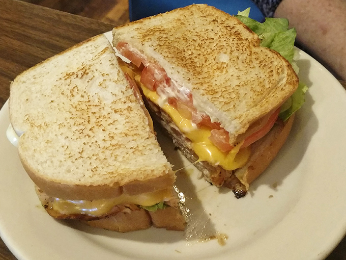 A sandwich that's dressed better than most people at the DMV. Layers of turkey and cheese creating the comfort food equivalent of a warm hug. 