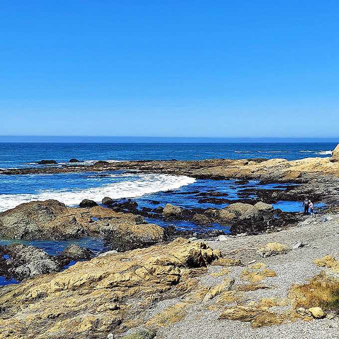 Nature's rock garden meets the Pacific in a display that would make any landscape designer both jealous and completely intimidated.