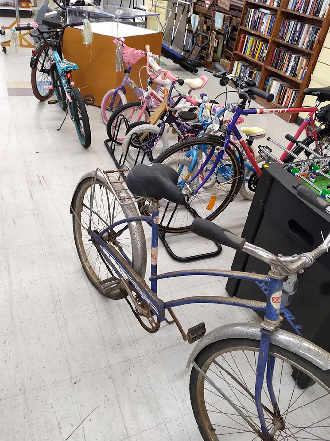 A bicycle graveyard or transportation paradise? These two-wheeled time capsules range from retro cruisers to kids' first rides, all waiting for new adventures.