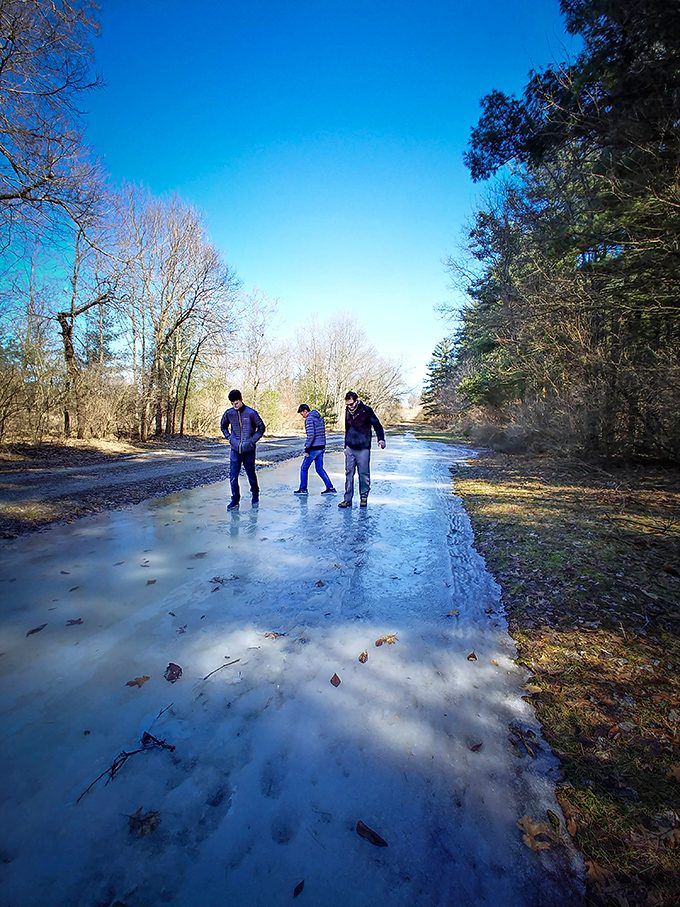 Winter explorers testing nature's ice rink. The forest's frozen path offers an impromptu skating opportunity&mdash;no Zamboni required!