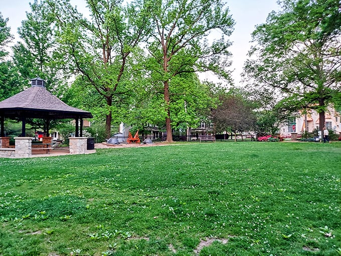 Walker Park offers that increasingly rare commodity in modern America: actual green space where children run and adults remember how to.
