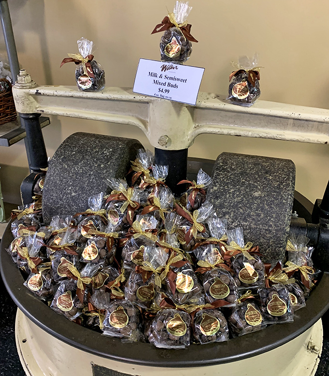 The famous Wilbur Buds displayed with pride. These little chocolate drops have been Pennsylvania's answer to Hershey's Kisses since before your grandparents were born.