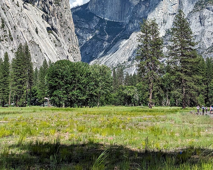 Yosemite's granite giants loom in the distance, a breathtaking backdrop that makes even the most jaded traveler pause in wonder.