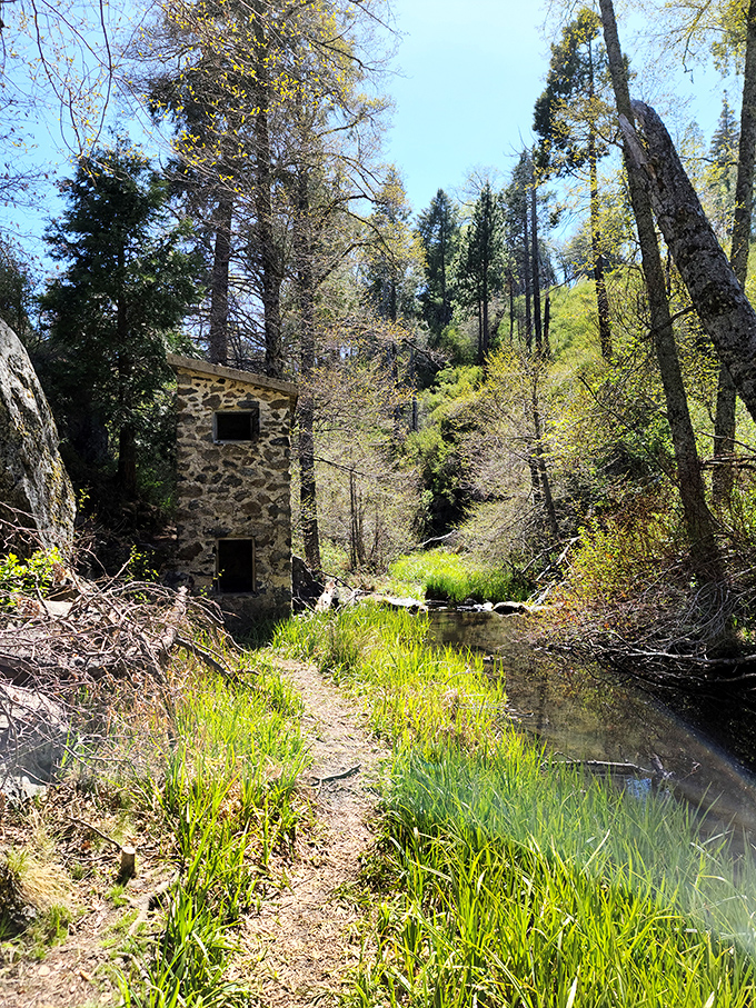 This stone structure whispers stories of mountain pioneers. The original tiny home, before HGTV made it trendy.