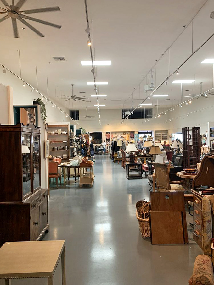 Wide, well-lit aisles filled with carefully arranged furniture create a shopping experience more akin to a high-end showroom than a thrift store.