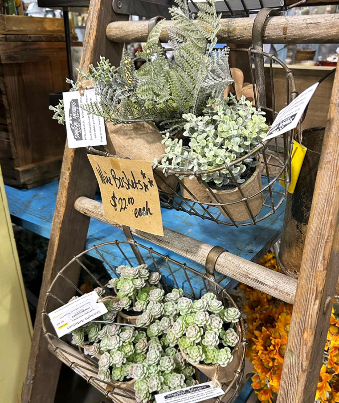 Even artificial plants get the antique treatment here, displayed on a rustic ladder that probably has more stories than most bestselling novels.