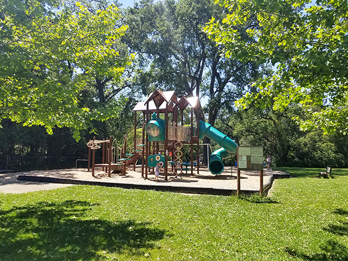This playground proves that simple childhood joys never go out of style. Auburn's community parks offer sunshine therapy at the bargain price of absolutely free.