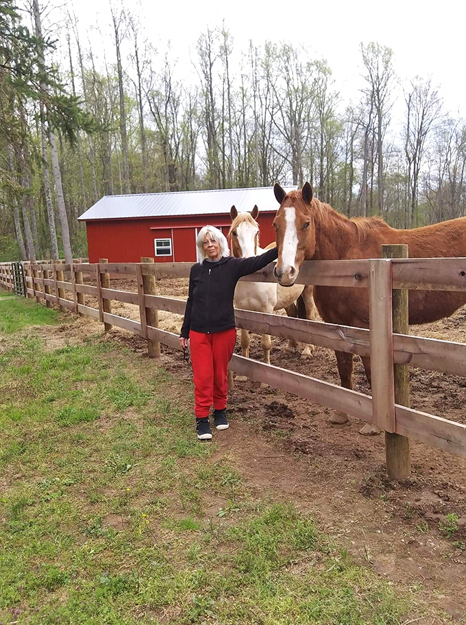 The journey to Buzzardroost often includes charming countryside encounters. These friendly equine neighbors offer a warm Ohio welcome.