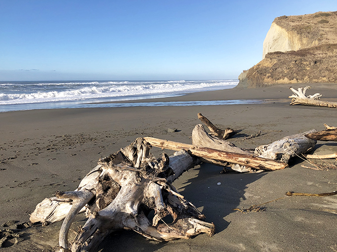 Centerville Beach's driftwood sculptures and dramatic cliffs remind you that Mother Nature was the original installation artist, and she wasn't messing around.