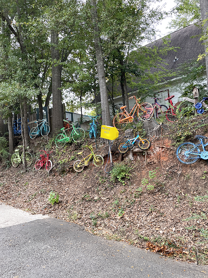 Jefferson's "Bicycle Hill" creates an unexpected rainbow against the forest backdrop &ndash; part art installation, part small-town whimsy, entirely conversation-worthy.