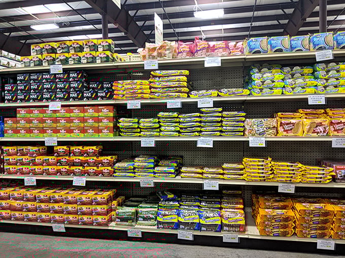 The pasta promised land stretches before you&mdash;enough carb-loaded options to fuel an entire marathon of comfort food dinners.