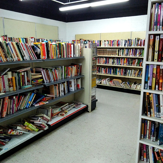A bibliophile's dream corner where stories find new readers. From bestsellers to obscure titles, literary adventures cost less than lunch.