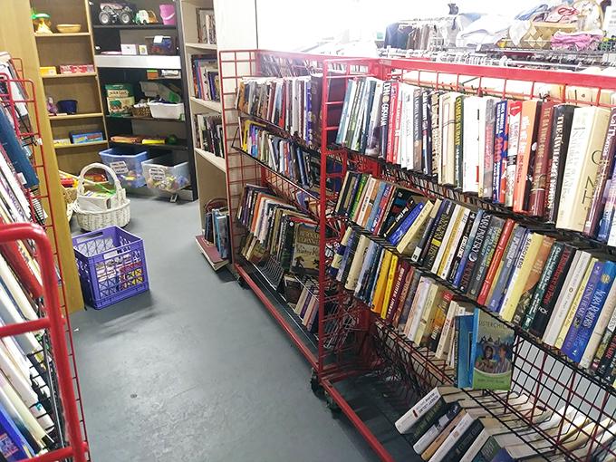 Bookworms, prepare to get lost. These shelves hold forgotten bestsellers and hidden gems, all patiently waiting for their next reader to discover them.