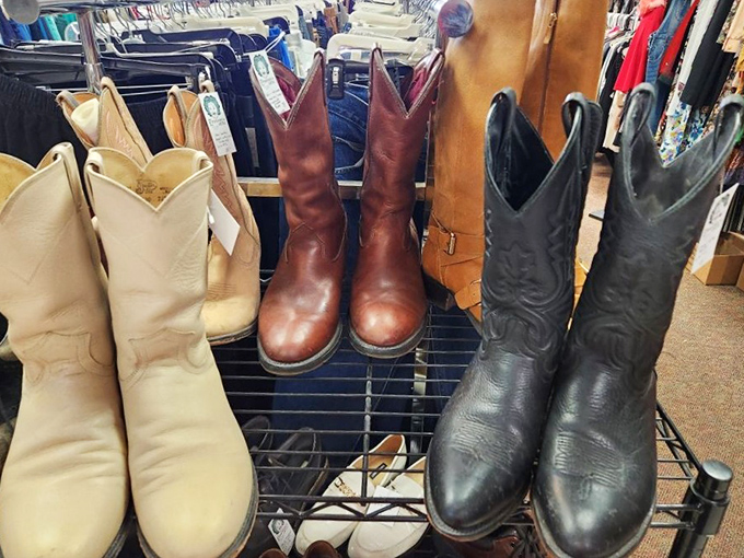 The cowboy boot lineup – because sometimes your feet deserve to feel like they're starring in their own Western, even in Ohio.