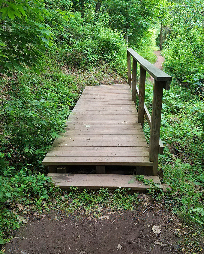 This humble wooden bridge connects more than just two sides of a trail—it's a portal between the everyday and the extraordinary.