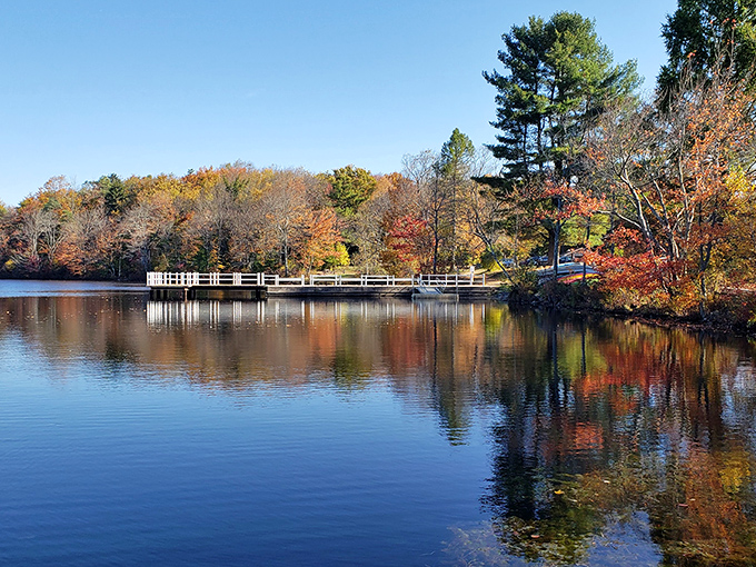 Fall's masterpiece reflected in still waters. Mother Nature showing off her color palette like a proud artist at her first gallery showing.