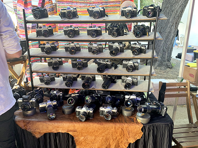 A photographer's dream or nightmare? Dozens of vintage cameras waiting for their close-up, each with stories to tell and Instagram feeds to fill.