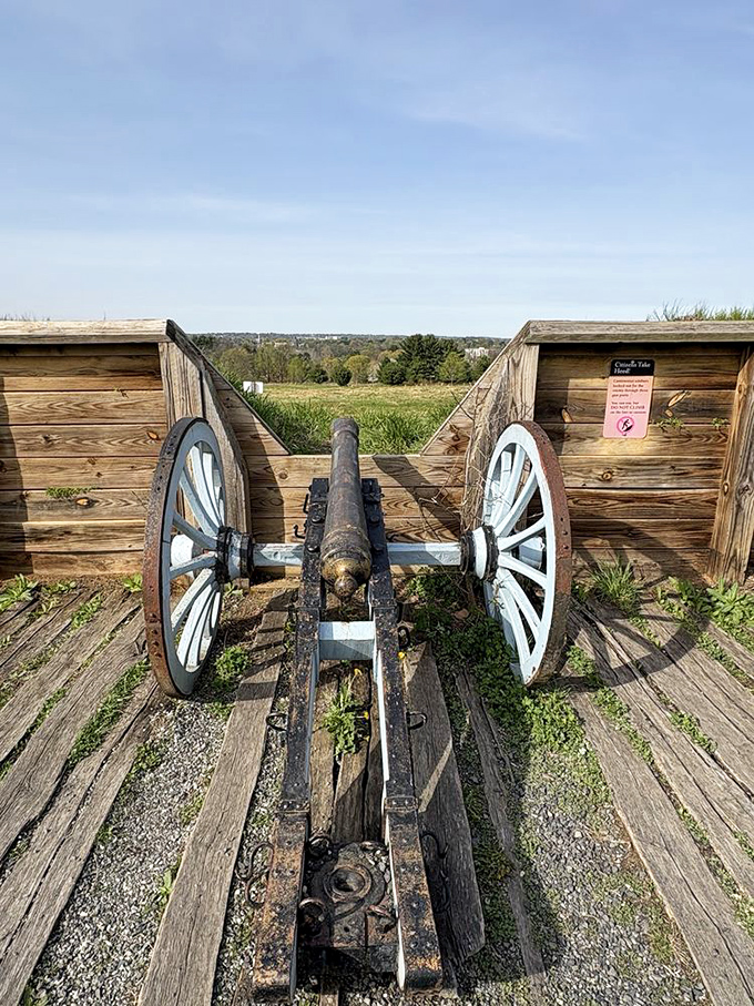 This Revolutionary War cannon still looks ready for action, though it's traded battles for photo opportunities.