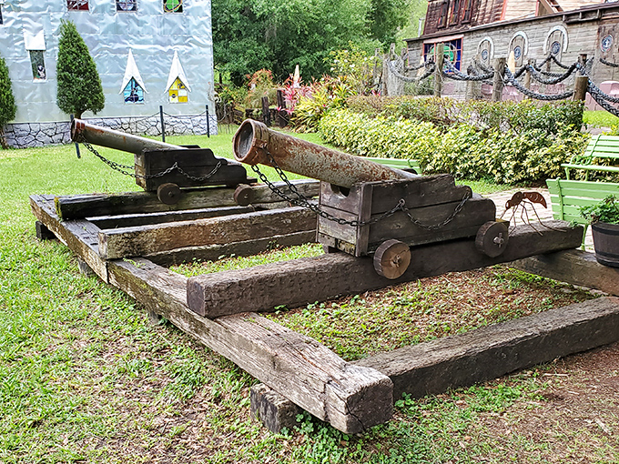 The neighborhood's most photogenic resident, proving Florida wildlife knows how to make an entrance.
