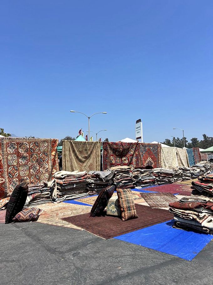 The rug section: where floor coverings become flying carpets of possibility. Interior designers and dreamers alike lose hours here contemplating new living room landscapes.