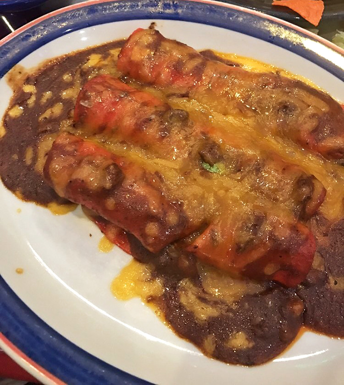 Enchiladas swimming in sauce like synchronized swimmers in a pool of flavor—the kind that makes you want to lick the plate when nobody's looking.