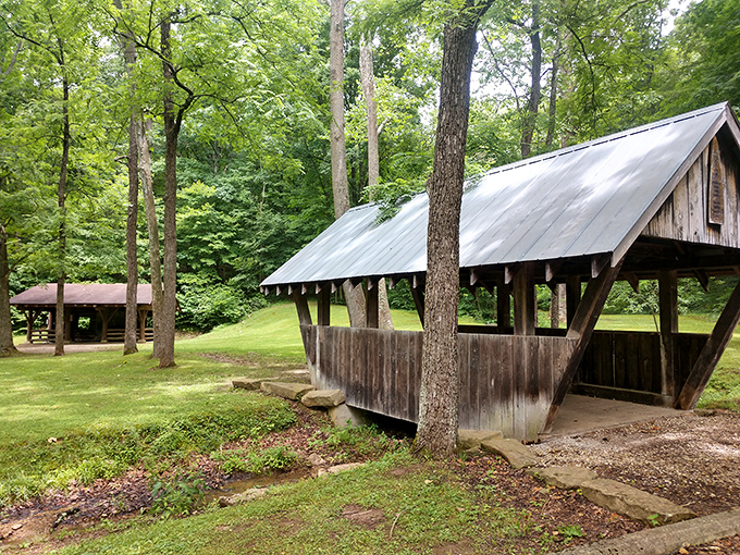 This rustic shelter stands ready for impromptu picnics or sudden downpours. Practical architecture that somehow feels like a warm hug.