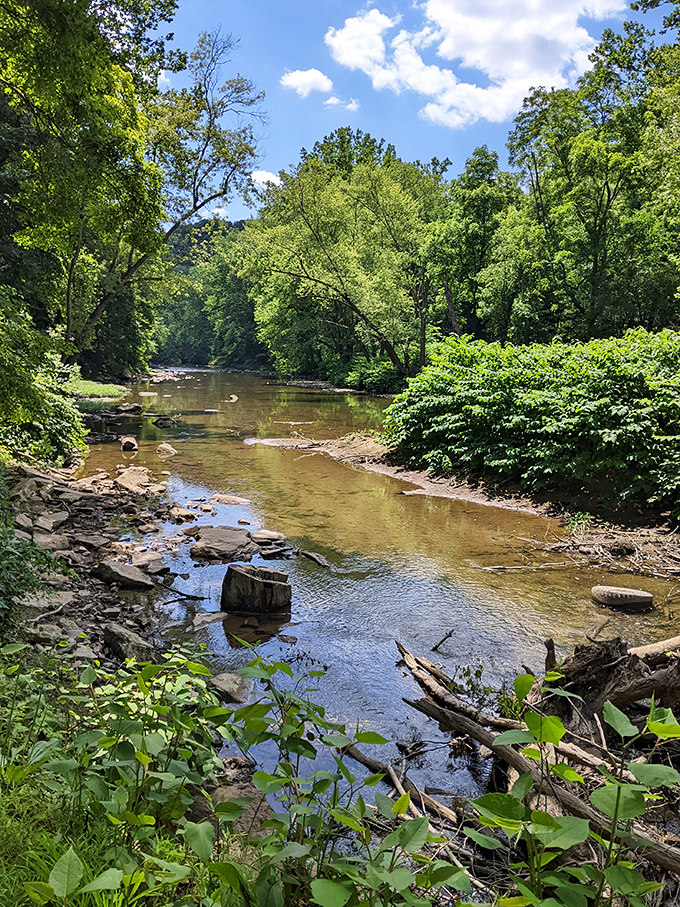 Little Beaver Creek flows like it's got somewhere important to be but keeps getting distracted by pretty rocks.