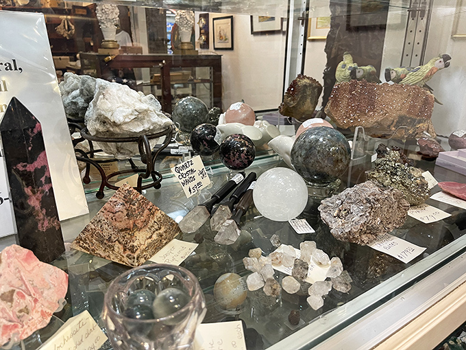 Crystal and mineral displays that would make any geology enthusiast weak at the knees. Nature's artwork, carefully labeled and waiting for the right home.