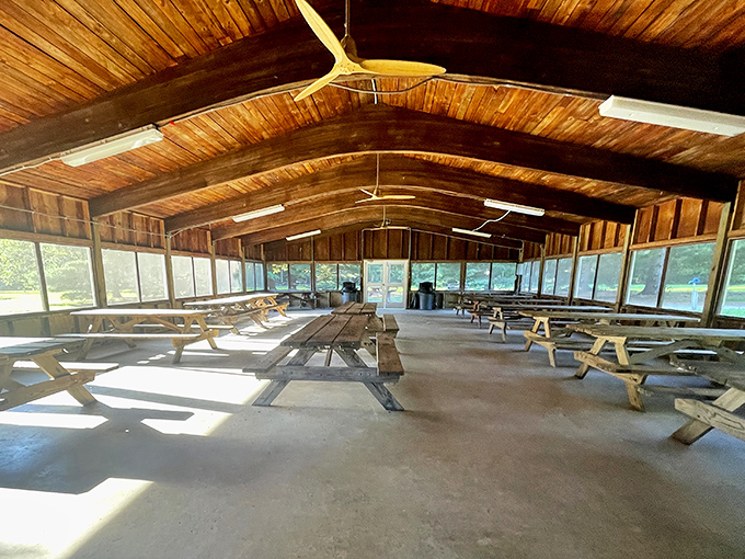 The ultimate picnic cathedral&mdash;vaulted wooden ceilings, natural light, and not a single waiter asking if "you're still working on that."