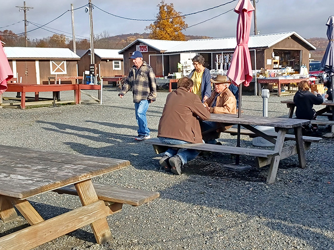 Between treasure hunts, shoppers recharge at picnic tables, swapping stories of great finds and the ones that got away.