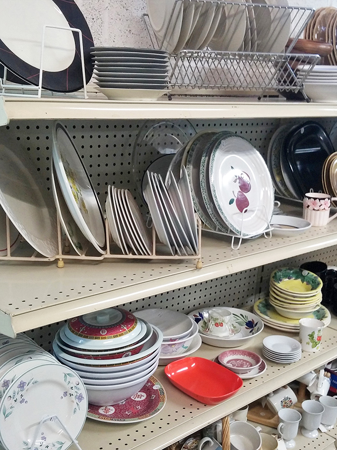Dish-covery zone! From floral patterns that whisper "Sunday dinner at Grandma's" to practical everyday plates ready for their second act.