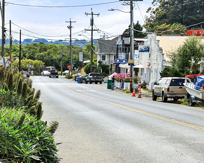 Main Street, Stinson Beach &ndash; where nobody's in a hurry and the only traffic jam involves deciding which caf&eacute; to try first.