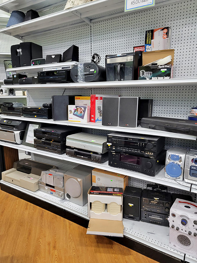 The electronics graveyard, where yesterday's cutting-edge technology finds new purpose. That stereo receiver probably outlasted three marriages.