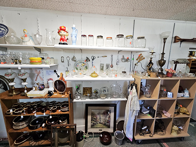 A collector's dream corner where every shelf groans with possibility. That Campbell's Soup container isn't just kitsch—it's pop art without the museum admission.