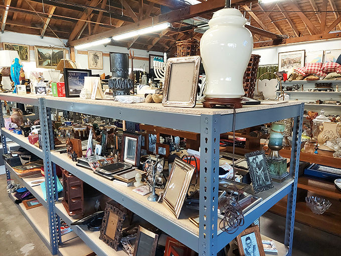 Treasure island for the home decorator &ndash; where picture frames and knickknacks compete for your attention like eager puppies at the shelter.