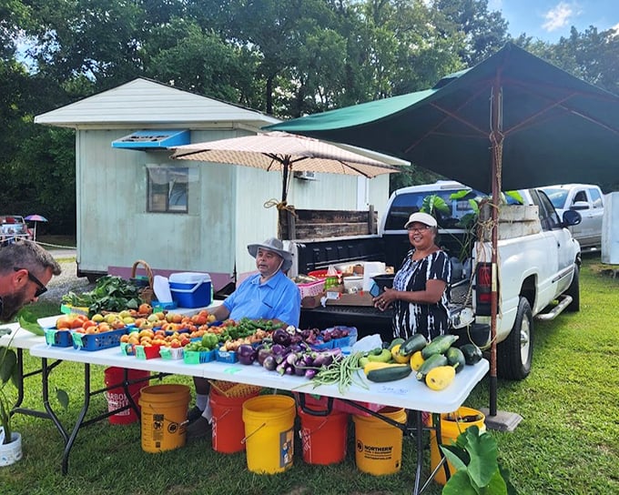 Farm-fresh goodness straight from Tennessee soil. These vibrant vegetables bring a welcome splash of nutritional color to the treasure-hunting experience.