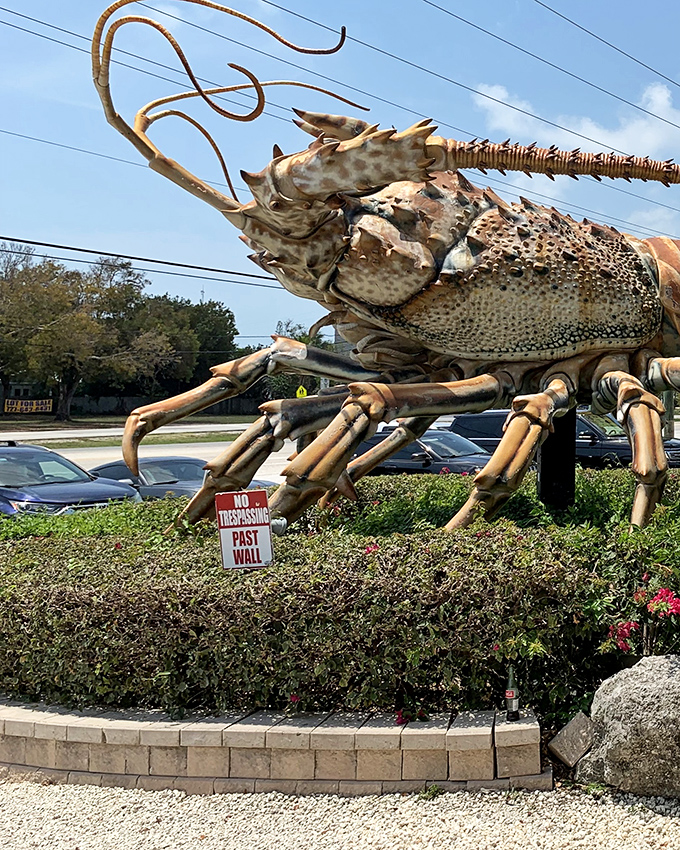 Betsy the giant lobster stands guard at Rain Barrel Village, proving Florida knows how to make even crustaceans larger than life.