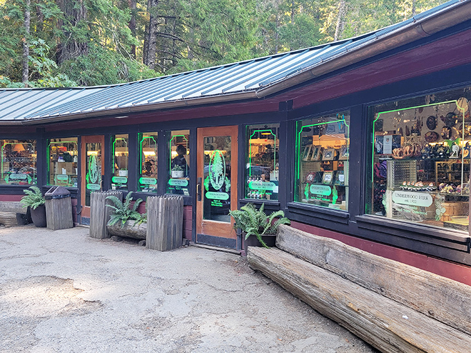 Souvenirs with a side of forest charm. The rustic gift shop blends perfectly into its surroundings, offering treasures that won't grow to 300 feet.
