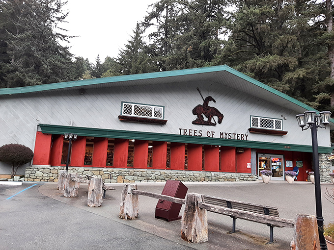 The Trees of Mystery gift shop: where you can purchase a miniature version of the giant statue you just photographed. Meta!