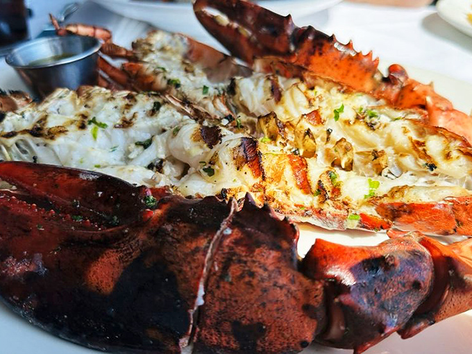 When your lobster arrives looking like this, you don't just eat dinner&mdash;you experience a seafood masterpiece worthy of maritime museums.