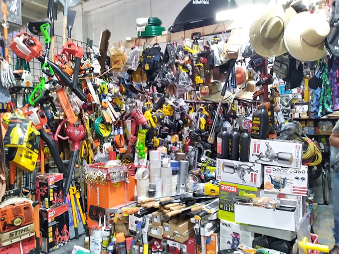 Tools organized with military precision, ready to fix everything from squeaky hinges to broken dreams (results may vary).