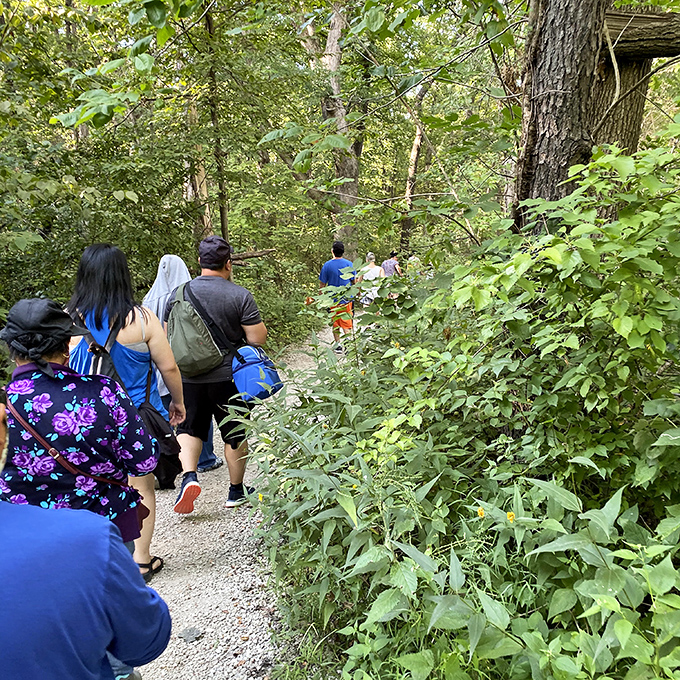 The universal hiking formation: single file, smartphones at the ready, wondering if that last turn was actually the right one.
